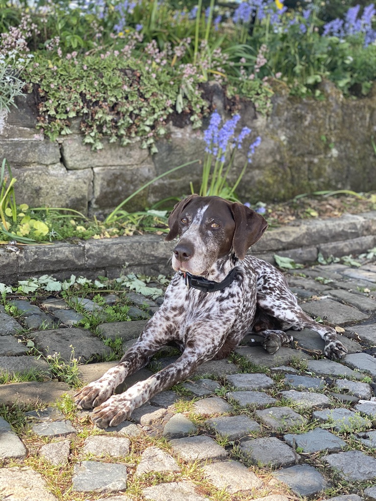 About – The Craggs Country Business Parks